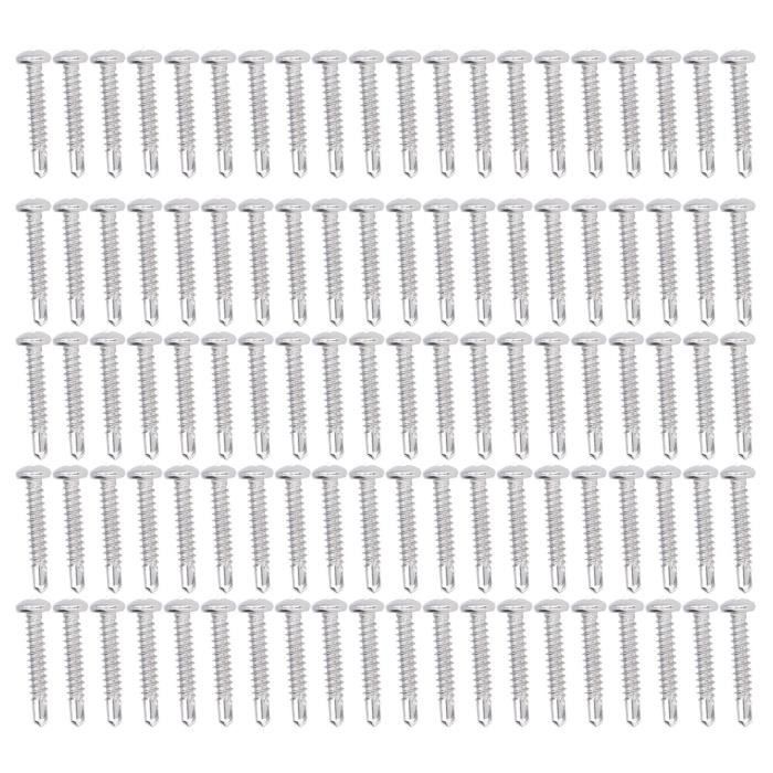 CET-Vis autoperceuses - 100 pcs vis auto-perceuse tête ronde 304 attaches en acier inoxydable ...