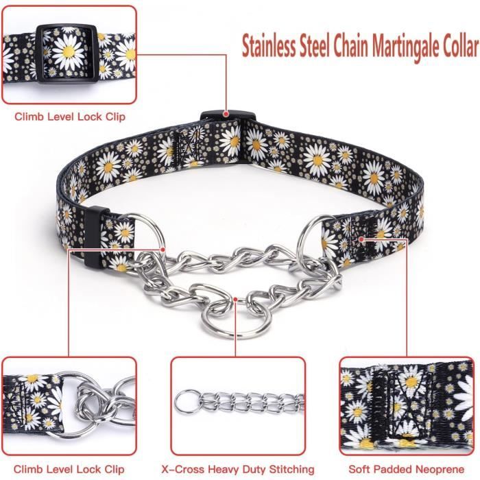 Martingale Collier Pour Chien - Chaîne En Acier Inoxydable - Collier De ...