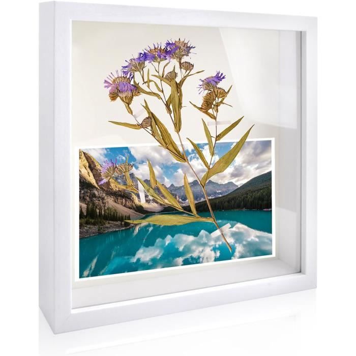 Cadre 3D Profond 20X20 Cm Cadre Photo Vitrine Cadre Photo 3D À Remplir ...