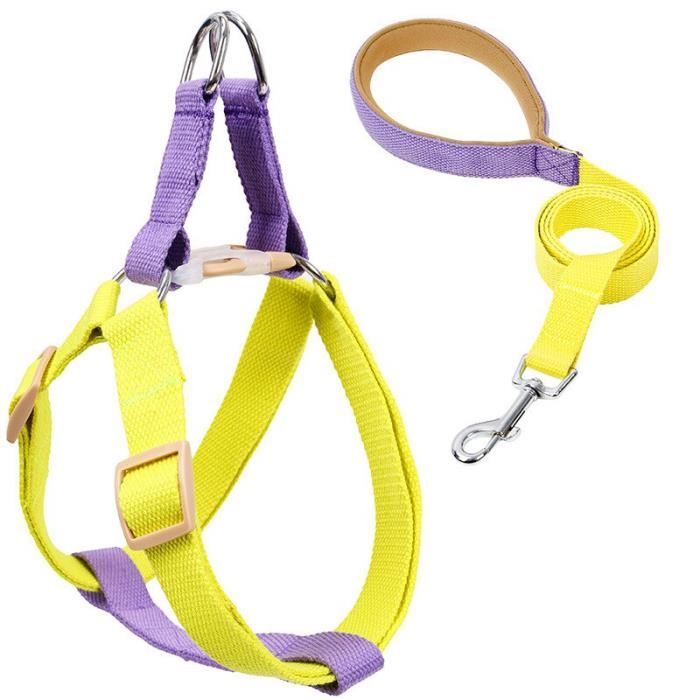 Dog Harness And Leash No Pull Nylon Pet Leashes For Small Dogs French ...