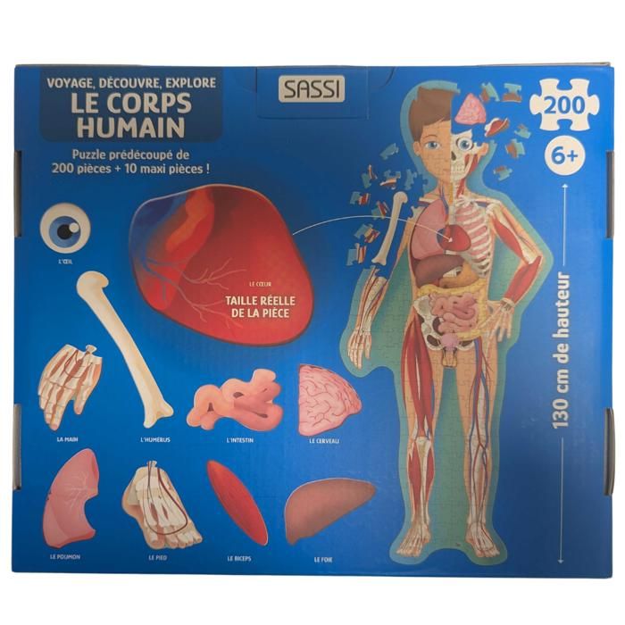 Voyage, découvre, explore : Le corps humain - Cdiscount Jeux - Jouets