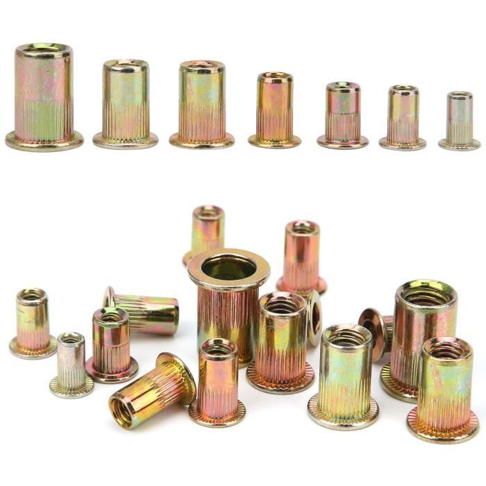 Cikonielf Kit d'écrou de rivet en acier galvanisé Écrous, Grand écrou ...