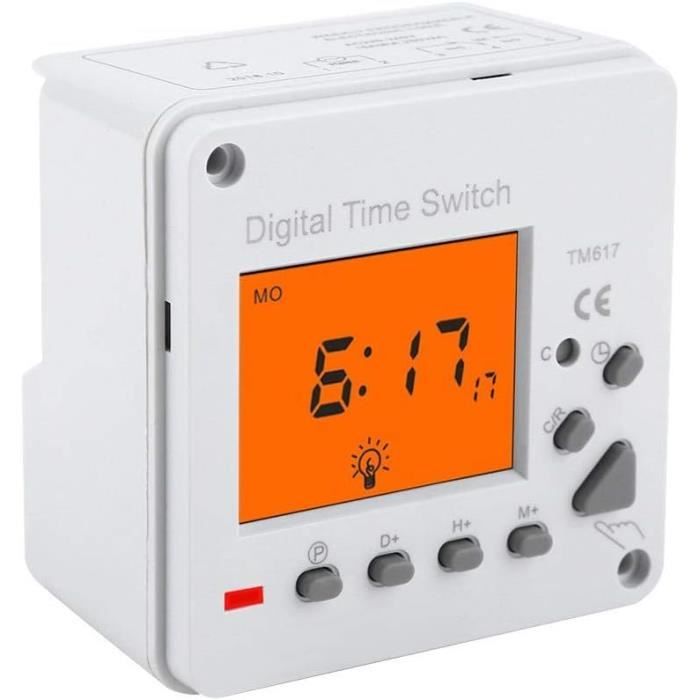 Minuterie Numérique Électronique, Minuterie De Commutateur De Commande ...