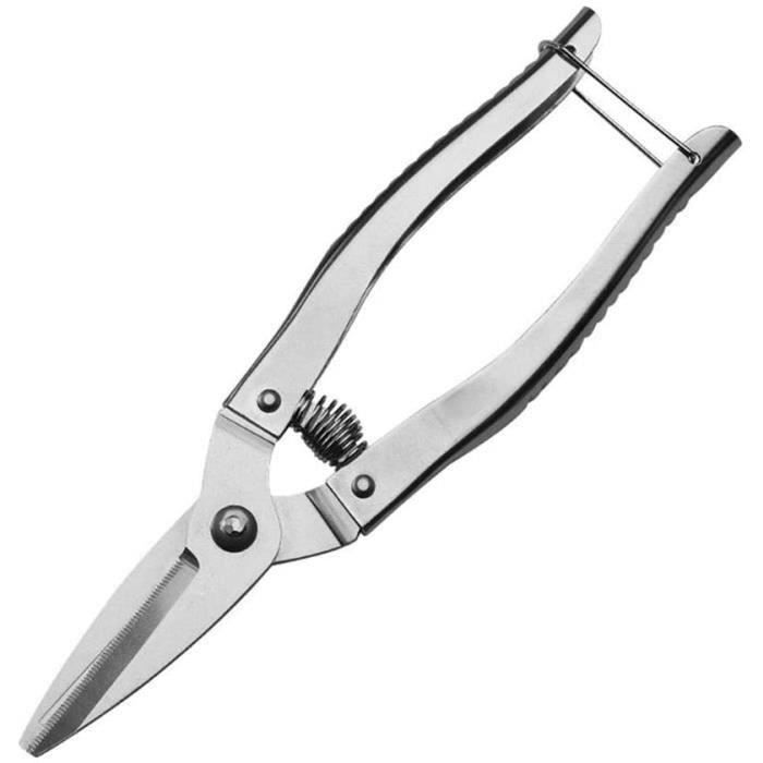 Cadeau-Secateur De Jardin Ciseaux De Jardinage Jardinage Ensembles pour ...