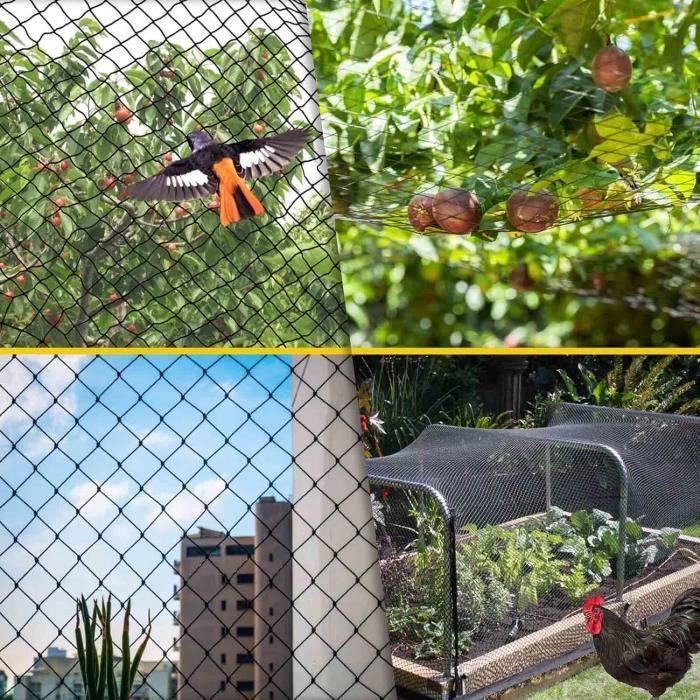 Filet Anti Oiseaux - A64 - 5m x 8m - Polyéthylène Haute Densité - Protection Cultures - Maille 2 ...