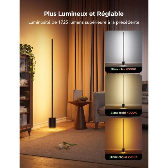 Govee Lampadaire LED RGBIC 152 cm - 1725 lm, Dimmable, Multicolore ...