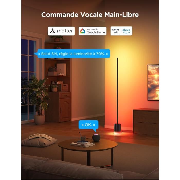 Govee Lampadaire LED RGBIC 152 cm - 1725 lm, Dimmable, Multicolore ...