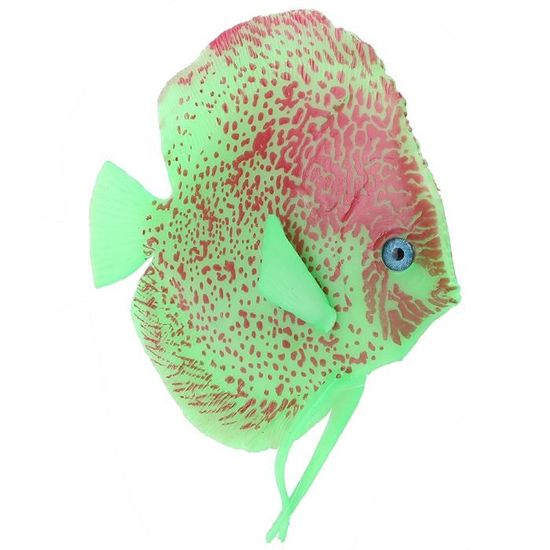 Poissons d'ange Simulation artificielle océan lumineux aquarium ...