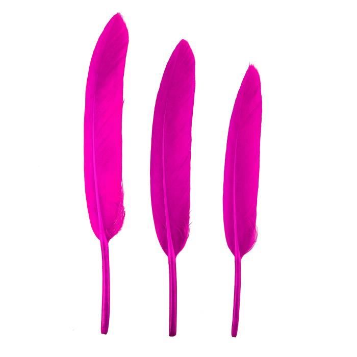 50Pc Plume Petit Couteau Droit Plume De Couleur Maternelle Bricolage ...