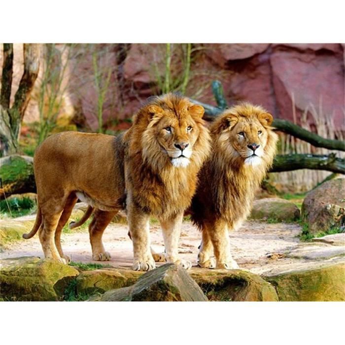 Diamond Painting Grand Format Lion 5D Broderie Diamant Kit Complet ...