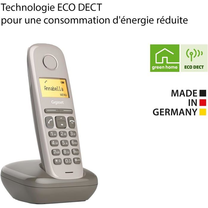 Téléphone sans fil - Gigaset - A170 Duo-2 - Écran rétro-éclairé ...