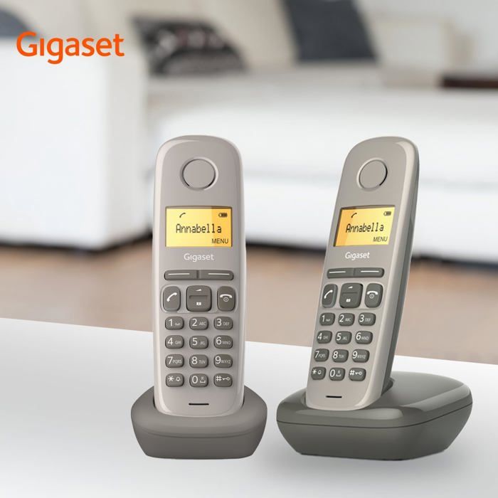 Téléphone sans fil - Gigaset - A170 Duo-2 - Écran rétro-éclairé ...