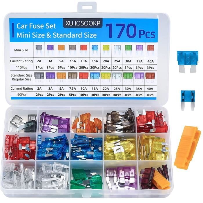 170 Pièces Fusibles de Voiture (60 Fusibles de Voiture à Lame Standard ...