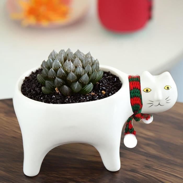 Pot de Fleurs en Céramique, Pot de Fleurs en Forme de Chat, Pot de ...