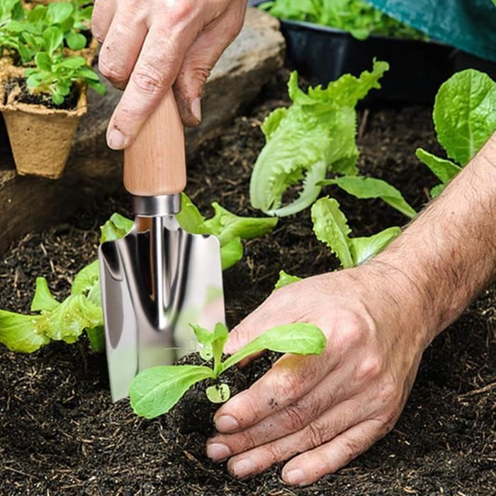 Ehskzjh Pelle De Jardin En Acier Inoxydable Jardinage Transplantoir ...