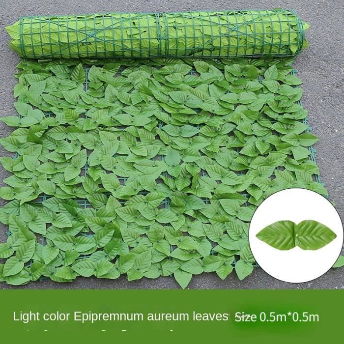 Aneth vert clair - 50cmX50cm - Nouveau Mur De Clôture De Plantation De ...