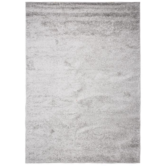 TAPISO Tapis Salon Shaggy Poils Longs DELHI Gris Clair Unicolore ...