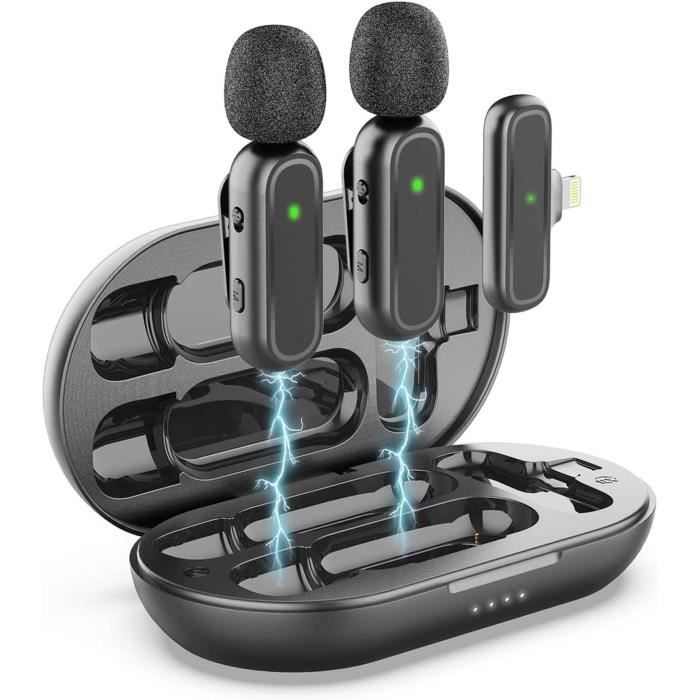 Mini Microphone Multifonction Avec Boîtier De Charge, 2 Microphones À ...