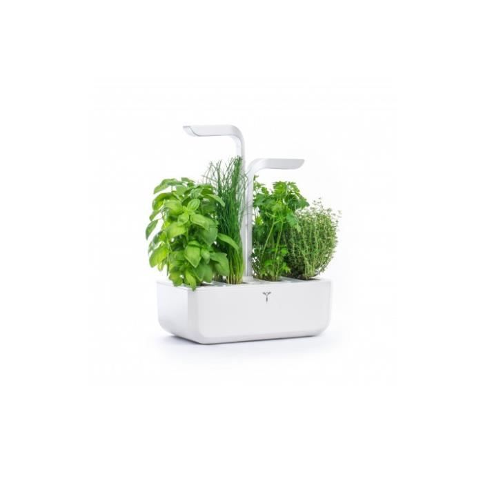 VERITABLE Potager d'intérieur Véritable Classic Sans Lingots de Plantes ...