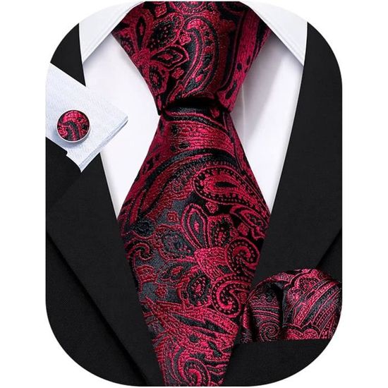 Ensemble de cravates en soie pour homme avec mouchoir, boutons de ...