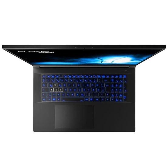 PC Portable - ERAZER DEFENDER P30 MD62577 - 17.3" FHD 144hz - Core i5 ...