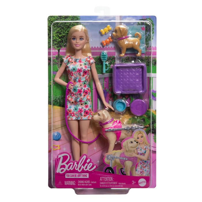 Coffret Barbie - MATTEL - Barbie Fashionistas - 2 figurines chien ...