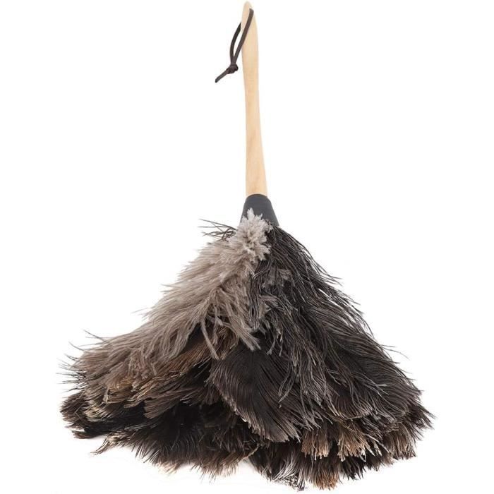Plumeau D'Autruche, Plumeau Plumeau Moelleux Plumes D'Autruche ...
