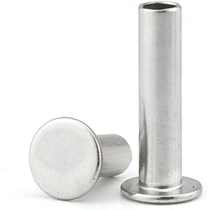 Lot De 100 Rivets À Tête Plate En Acier Inoxydable 304 À Tige Demi ...