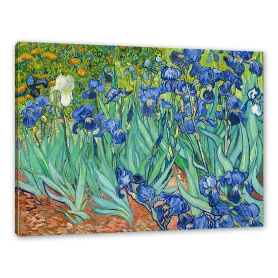 Vincent Van Gogh - Iris - tableau sur toile - format : 60x40 cm ...