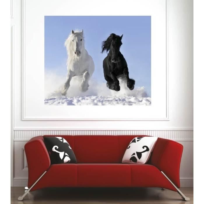 Affiche poster chevaux 3252550 - dimensions affiches:106x70cm ...