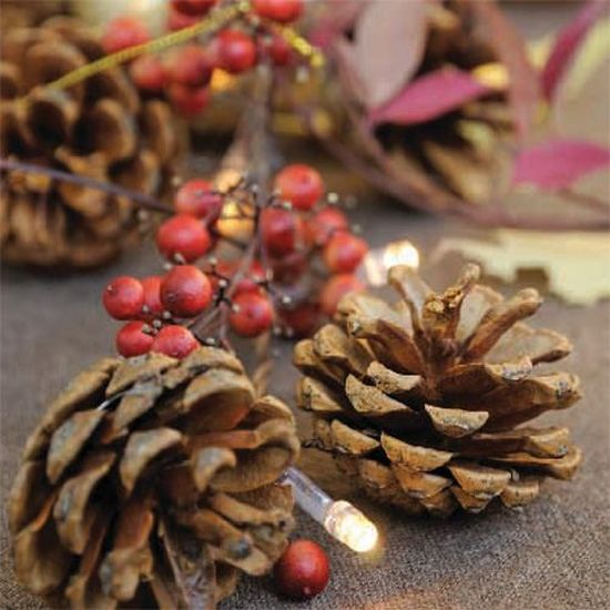 Guirlande déco pignes de pin marrons - Cdiscount Maison