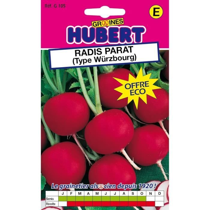 Graines de radis Parat (type Würzbourg) - 24 grammes.[D742] - Cdiscount ...