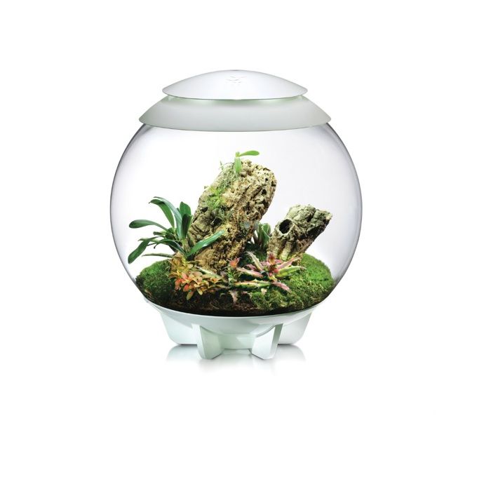 Oase Terrarium décoratif 60l avec cadre blanc - Air 60 white ...