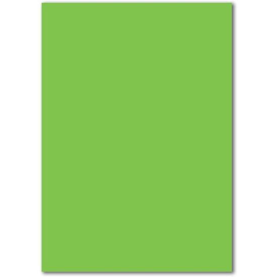 100X A4 Papier - Couleur: Vert Clair - 210 X 297 Mm - 160 G-M² ...