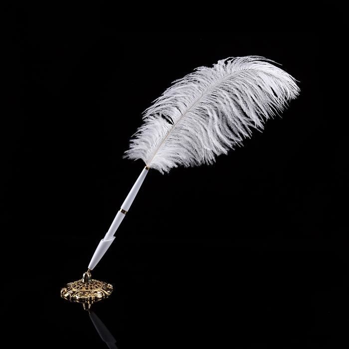 LSS Stylo Signature Plume - Écriture Calligraphie Encre - Décoration ...