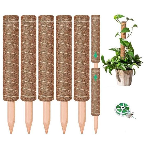 5Pièces Tuteur Monstera,40cm Tuteur Coco avec Bande,Serre-câble et ...