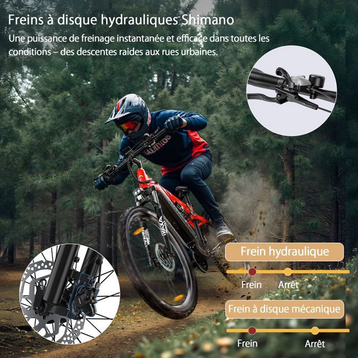 VANKEL E29 - Vélo électrique 28" - Moteur 250W 48V - Batterie 13.5Ah ...