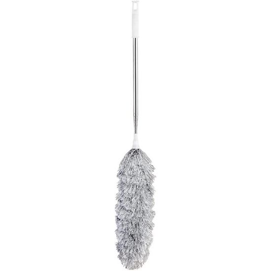 Plumeau à plumes, plumeau télescopique à plumes, kit de nettoyage ...