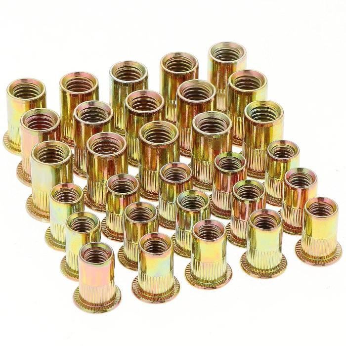 100 Pièces Rivet Ecrou M6 M8, Écrous À Rivets En Acier Au Carbone ...