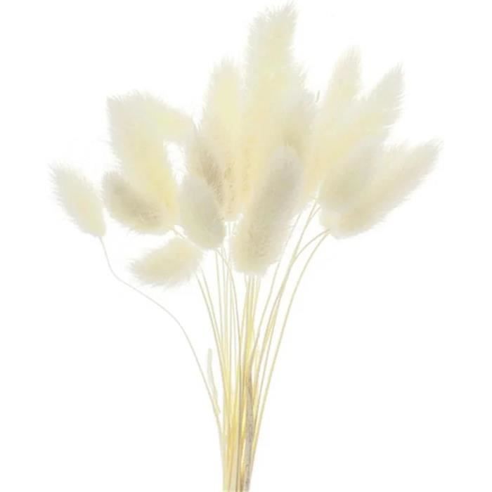 Fleurs Séchées,10 Pièces 45 Cm Queue De Lapin Fleur Séchée Naturelle Pampas Herbe Bouquet Réel ...