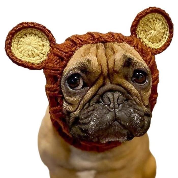 Hiver ours brun coupe-vent chien chapeau animaux tricot chapeau couvre ...