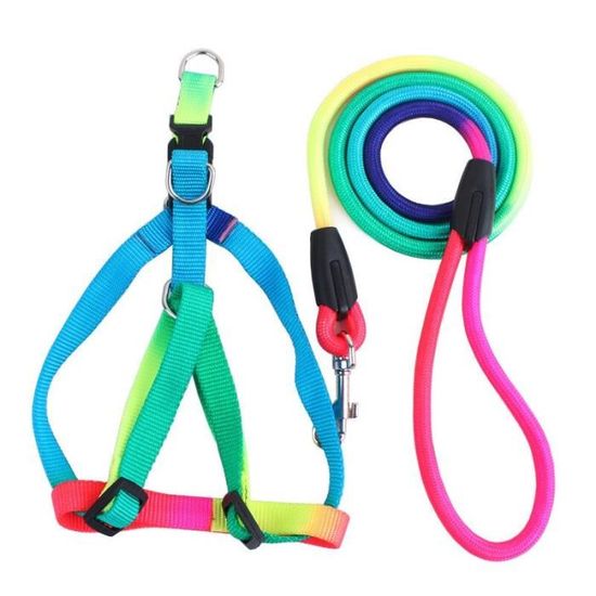 Durable Nylon Rainbow Pet Harnesses Dog Leash Walking Training Leash Cats Dogs Harness Collar ...