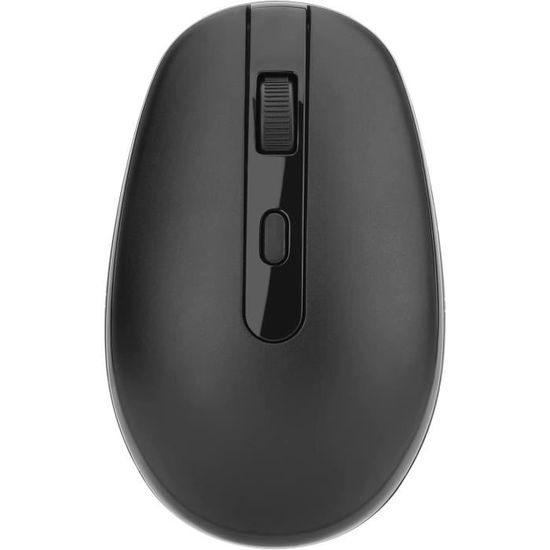 Rii RM700 Souris sans Fil 2.4G avec Recepteur Nano USB, Clic Silencieux ...