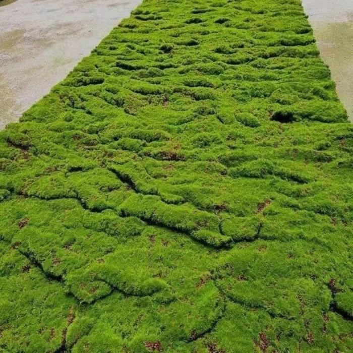 Gazon Artificiel Faux Mousse Tapis D'Herbe De Décor Mur Vegetal Flocage ...