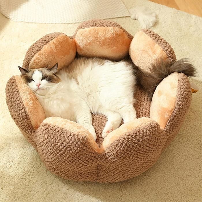Lit pour Chat Lit pour Chien Lit pour Chat Lavable, Forme pétale de ...
