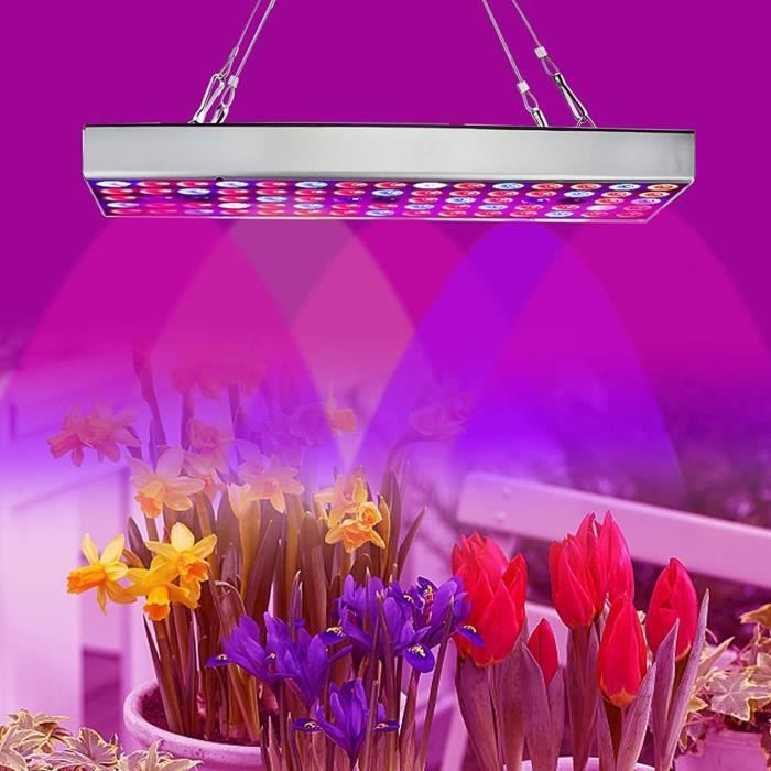 LED Lampes pour Plantes D'intérieur Growing Lampe, Full Spectrum Panel ...