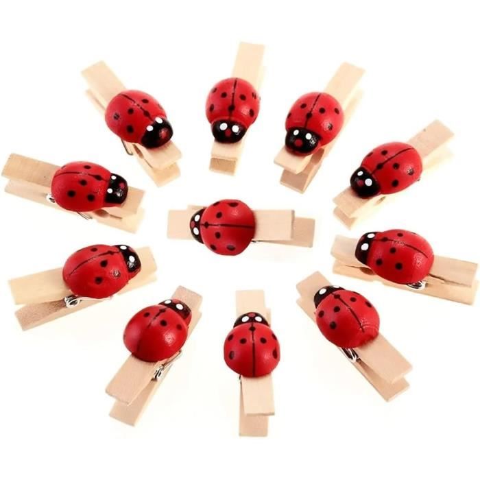 Pinces En Bois Naturel Avec Coccinelles Mollettines 35 Mm Décoration ...