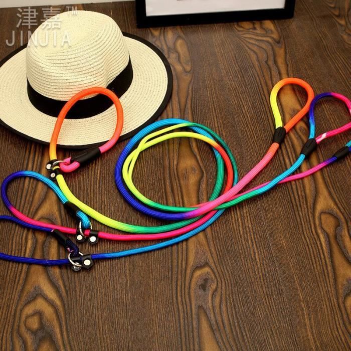 Dog Leash Colorful Dog Leash and Collar Set Nylon P-chain Leashes for ...