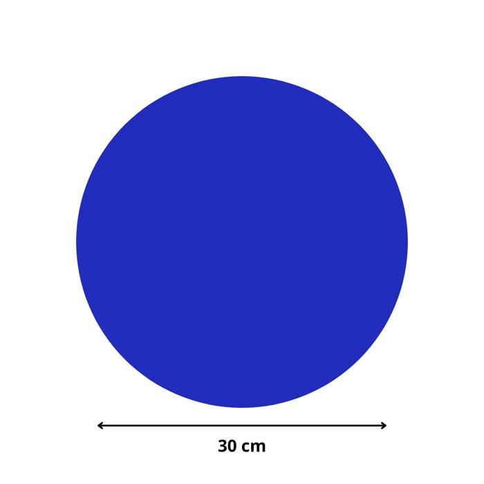Rond verre acrylique bleu 3 mm - Diamètre 30 cm (300 mm) - Disque verre synthétique - Plaque ...