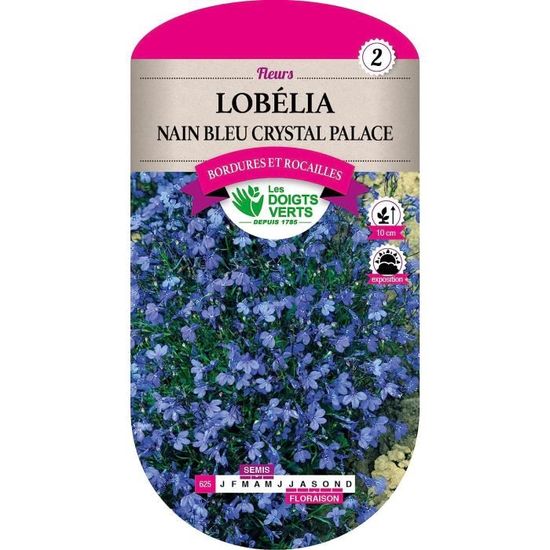 Lobelia Nain Bleu Crystal Palace[u797] - Cdiscount Jardin